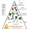 BABY RABBIT DAILY DIET | RABBIT FOOD CHART | RABBIT BABY FEED